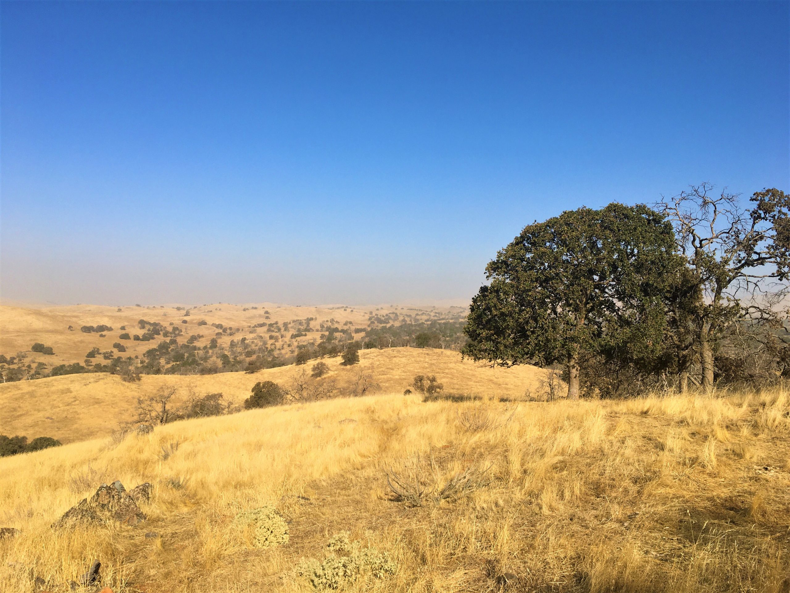 Oakvale Ranch | California Rangeland Trust | Land Trust