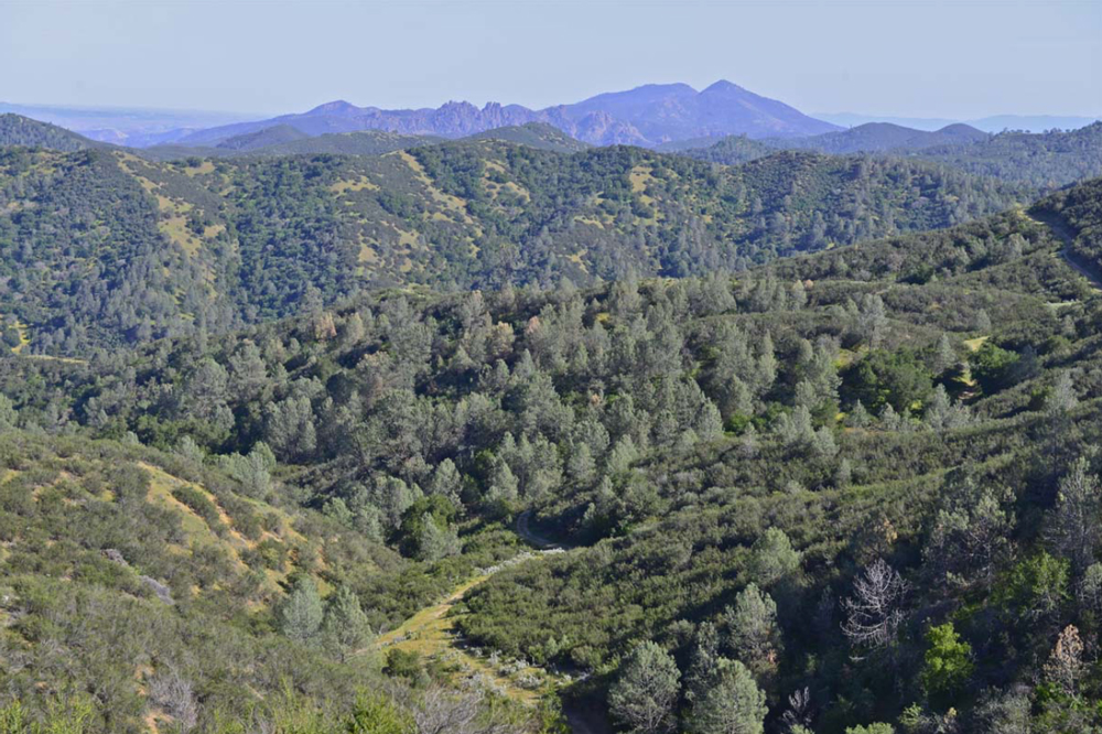 Willow Creek Ranch | San Benito County Ranch | California Rangeland Trust