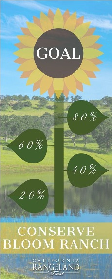 Conserve Bloom Ranch | Rangeland Trust | CA Land Trust
