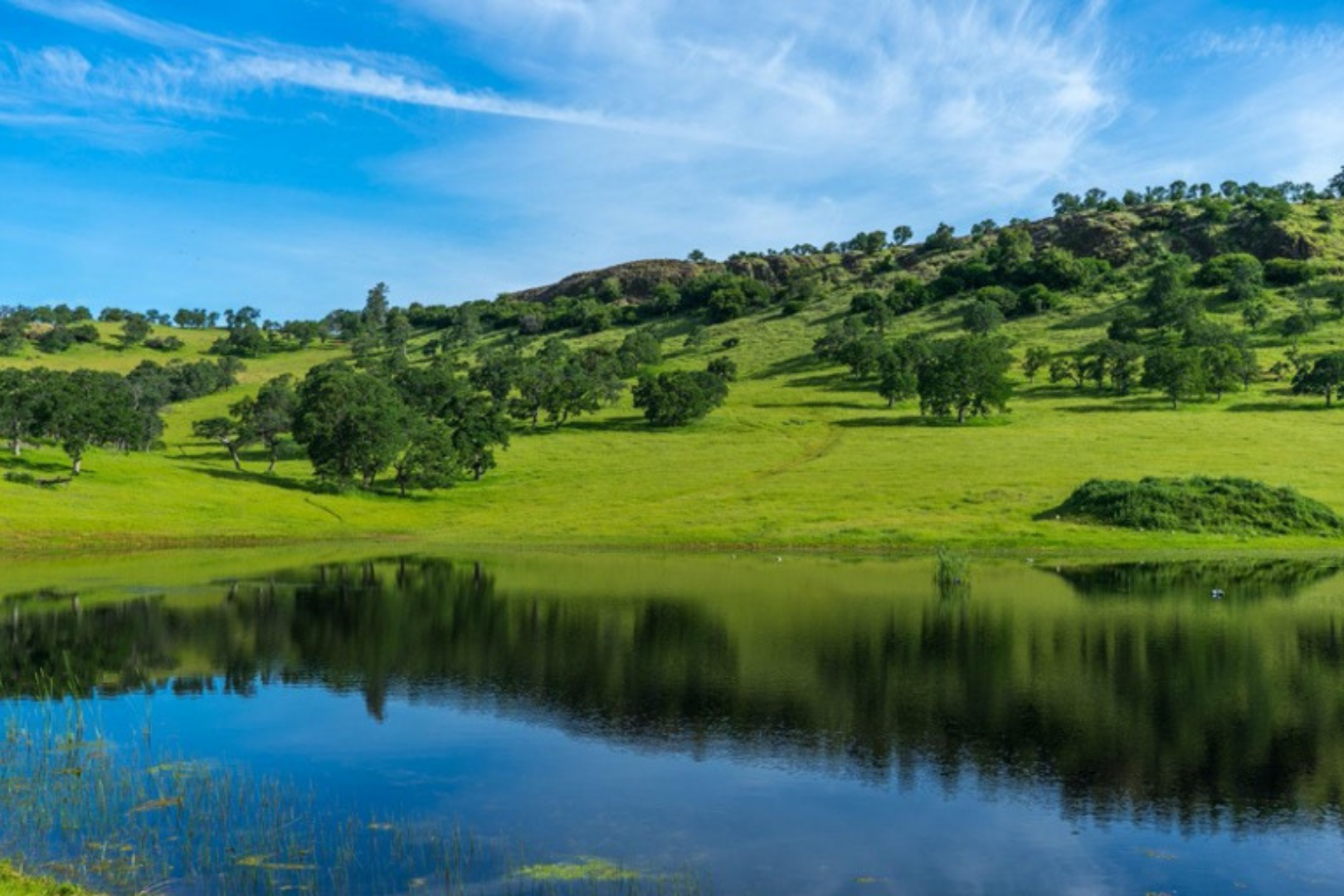 2020: RANGELANDS AND RESILIENCE - California Rangeland Trust