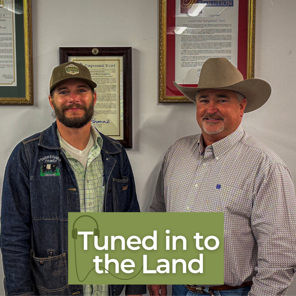 Season 3 Episode 3: A Bird's Eye View on Conservation Ranching ...