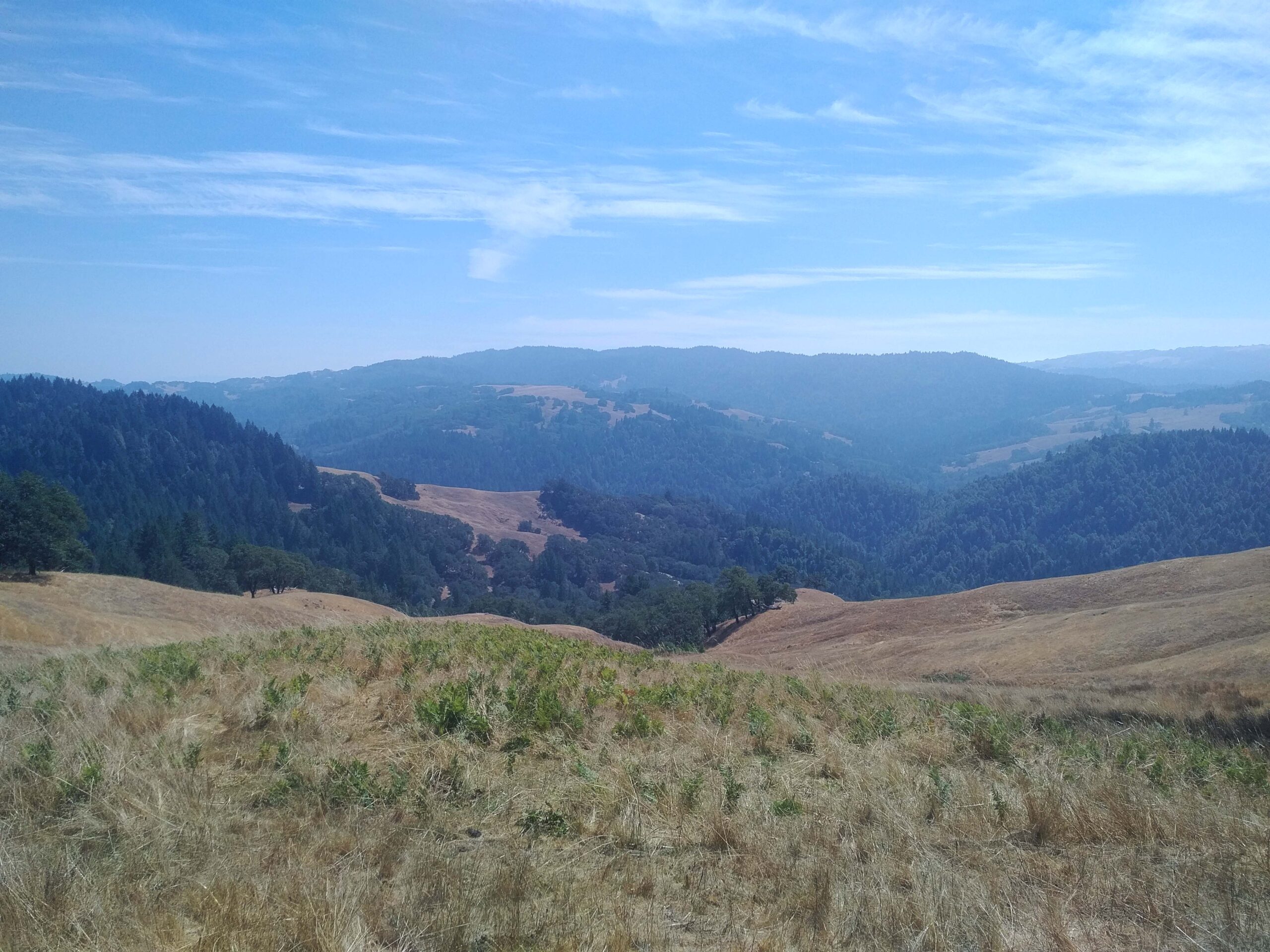 Share in the Experience of Conserving Lone Star Ranch - California ...