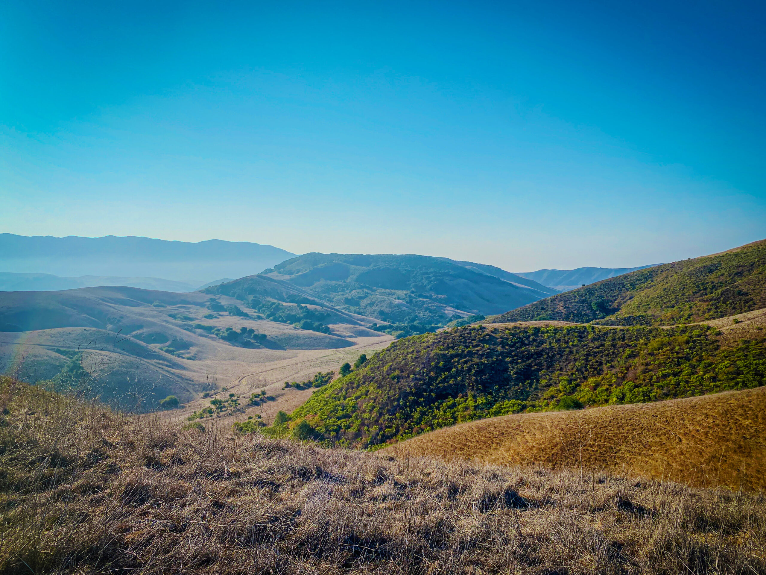 Hanson Ranch: Planning for the Future - California Rangeland Trust